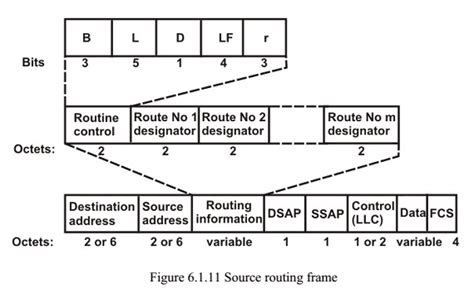 Figure Source Routing Frame EXAMRADAR