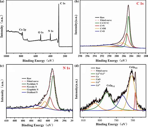 Xps Spectra Of Survey Spectra A Deconvolution Of C 1s B N 1s C