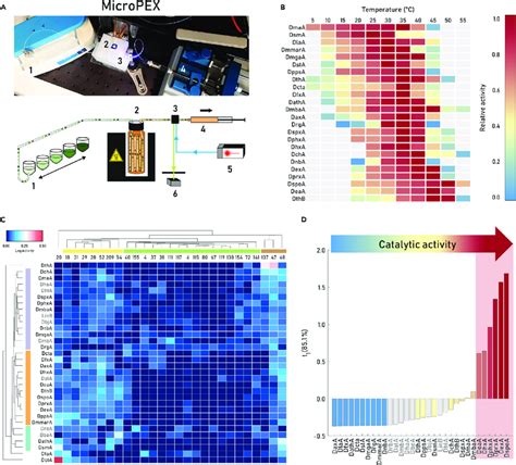 Temperature Profiles And Substrate Specificity By Droplet Based