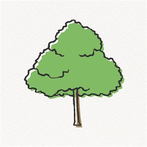 Ash Tree Illustration Nature Design Free Photo Illustration Rawpixel