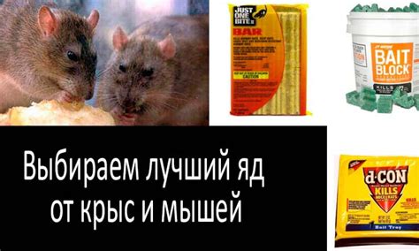 Варфарин Крысиный Яд – Telegraph