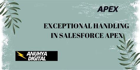 exceptional handling in salesforce apex by anuhya digital sep 2024