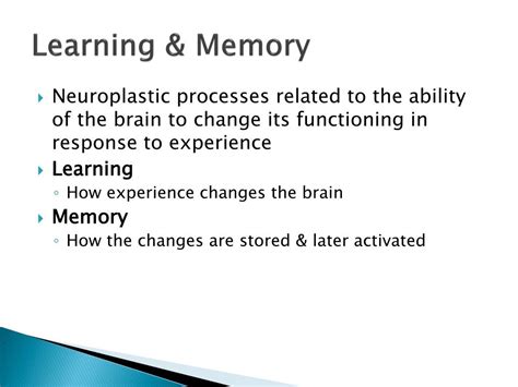 Ppt Ch 11 Learning Memory And Amnesia Powerpoint Presentation Id2499307