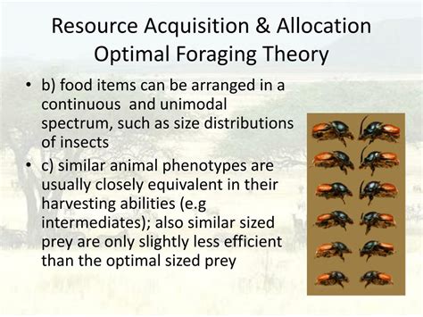 Ppt Resource Acquisition And Allocation Optimal Foraging Theory Powerpoint Presentation Id 1096927
