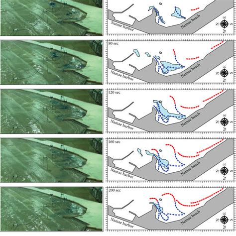 Flow Patterns Of Wave Induced Current In 3 Dimensional Hydraulic Model Download Scientific