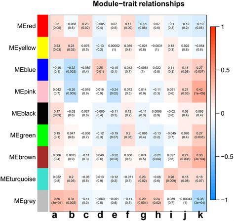 Characterization Of Long Non Coding Rna And Messenger Rna Profiles In