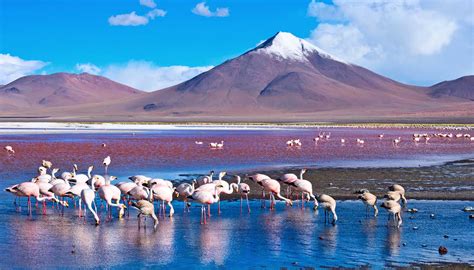 Bolivia Public Holidays