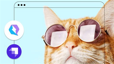 Qwickly Getting Started With Qwik And Strapi Js · Ijs To