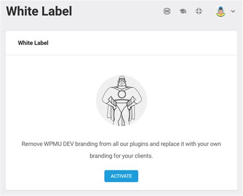 Wpmu Dev Dashboard Plugin Usage Documentation Wpmu Dev