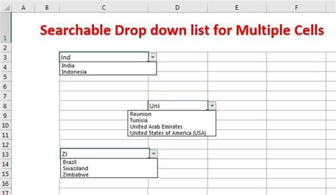 Searchable Dropdown PK An Excel Expert