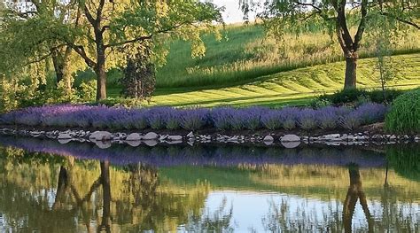 Acuity Flagpole 2025 All You Need To Know Before You Go With Reviews