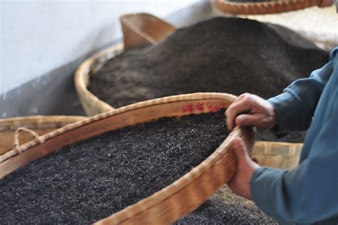 Inside Jing Tea And Cathays Long Standing Partnership Cathay