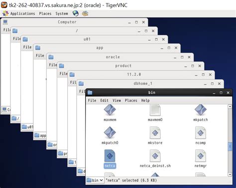 Linuxサーバ CentOS にOracleDB gをインストールするその Rainbow Engine