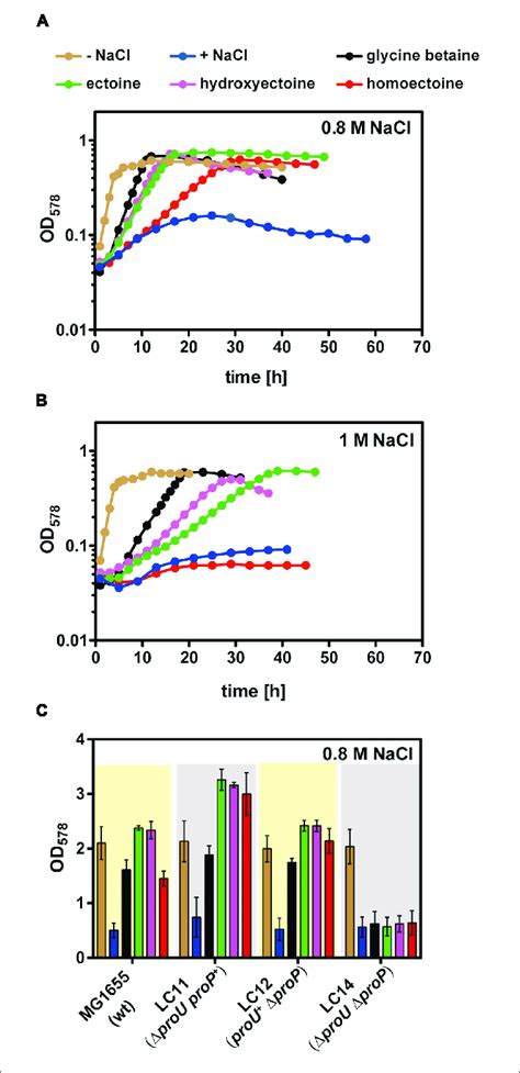 Osmostress Protection Assay With Glycine Betaine Ectoine Download Scientific Diagram