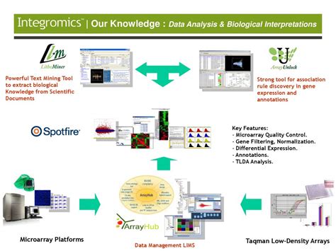 executive presentation ppt download