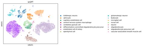 Access Cellxgene Hosted Embeddings — Cellxgene Census Documentation