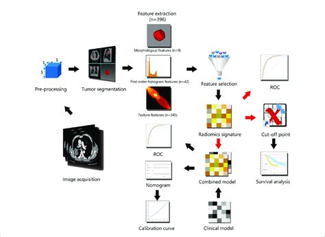 Workflow Of The Radiomic Analysis Download Scientific Diagram