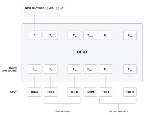 Unleashing The Power Of BERT How The Transformer Model Revolutionized NLP