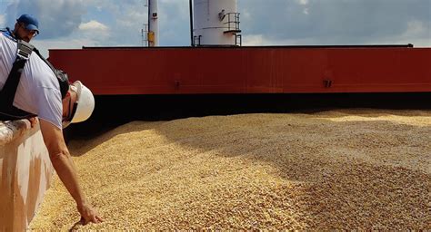 Заборона імпорту зерна Імпорт агропродукції з України Цензор НЕТ