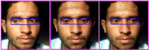 Gazepointer A Real Time Mouse Pointer Control Implementation Based On Eye Gaze Tracking