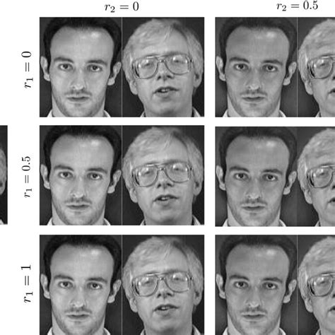 The Reconstructed Images After Projection Into The Rda Subspaces Download Scientific Diagram