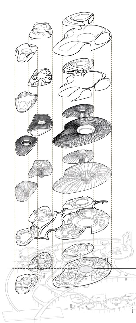 Thesis Project On Behance