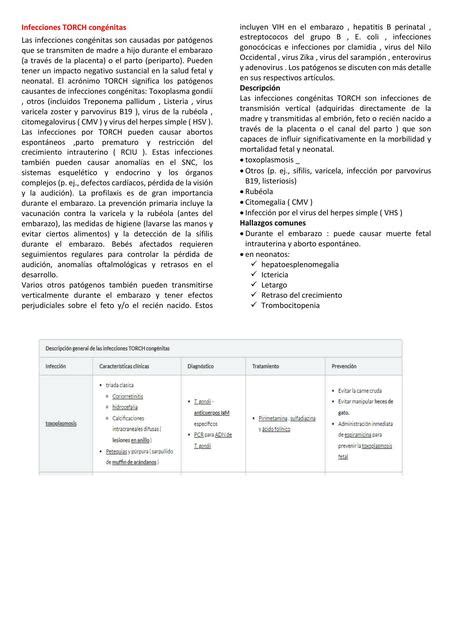 Infecciones Torch Congénitas Hugo Laura Udocz