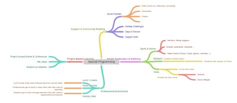 Special Programming Coggle Diagram