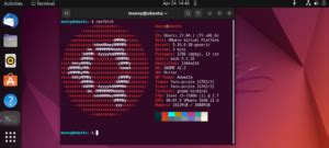 Top Best Linux Distros For Developers In