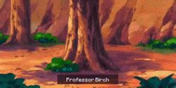 pokemon global academy Day Pokémon Challenge Porn Photo Pics