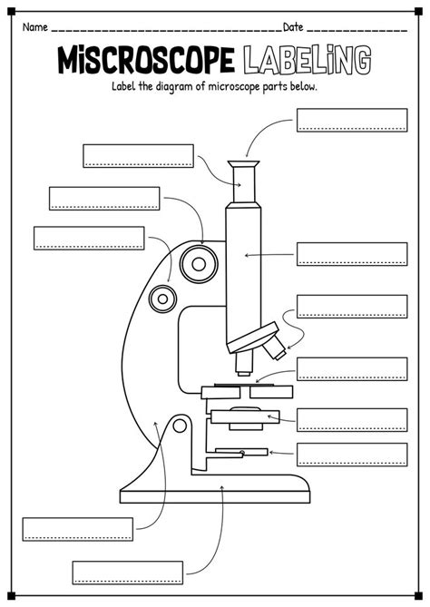 The Microscope Label Is Shown In Black And White With Labels For Each