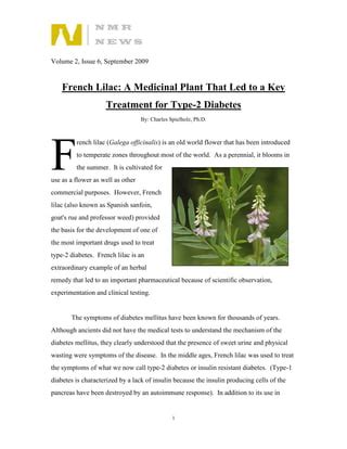 French Lilac Article Sep 2009 Pdf