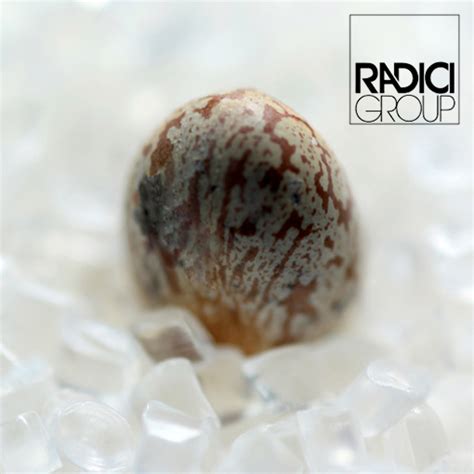 Webinar The Bio Based Polyamide Road To Sustainability