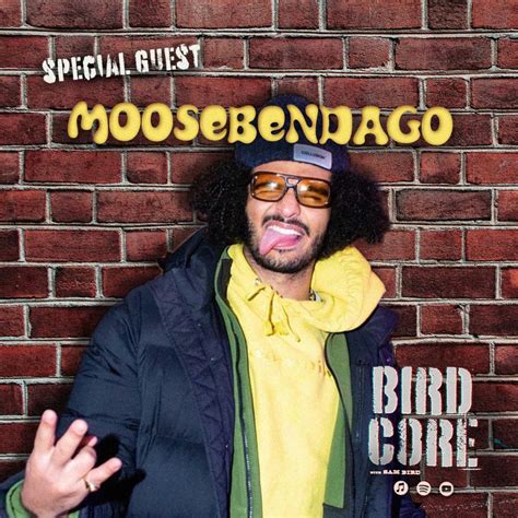 E2 Moose Bendago Birdcore Podcast Listen Notes