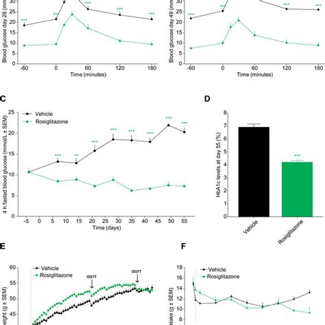 rosiglitazone improves metabolic parameters in db db mice a oral