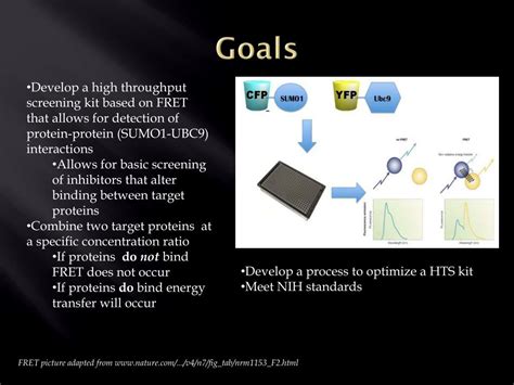 Ppt Fret Based Hts Assay Kit For Sumo1 Ubc9 Interaction Powerpoint