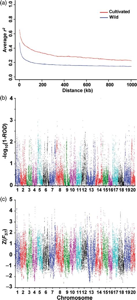 Genome Wide Analysis Of Nucleotide Diversity And Selection A Lowess