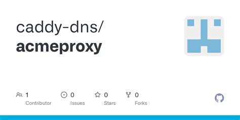 github caddy dns acmeproxy