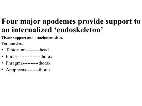 Insect Morphology Insect Morphology Insect Morphology Pdf