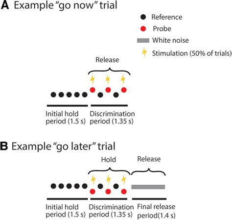 Effects Of Electrical Stimulation In The Inferior Colliculus On