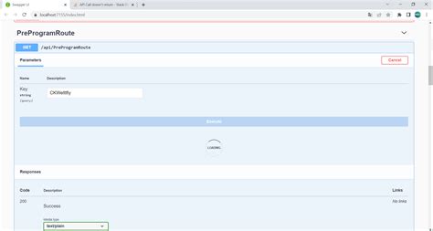 C Api Call Doesnt Return Stack Overflow