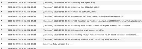 Docker Version 18 In Buildspec Of Testcommands Gives Unknown Runtime Version · Issue 4721