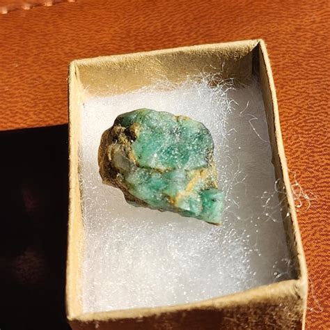 Ammonite Fossil Fossilized Ammonite Ammonite Fossil Large Natural Ammonite Ammonite