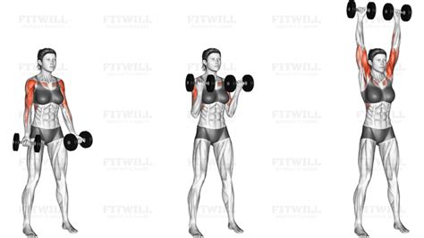 Dumbbell Curl To Press Exercise Guide Video Techniques Benefits
