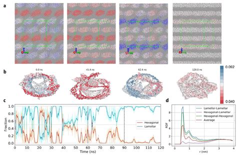A Simulation Snapshots Taken In The Region Of The Transition From Download Scientific Diagram