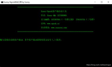 Java 接入支付宝网页支付（springboot Idea 内网穿透 沙箱配置 ）import Comalipay