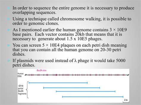 Genomic And C Dna Libraries Pptx Biological Sciences Science