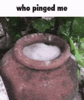 Who Pinged Me Ping Who Pinged Me Ping Tudou Khám phá và chia sẻ