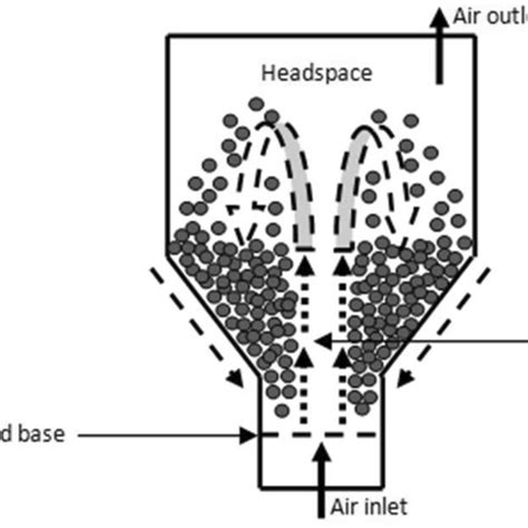 Agitation Strategy Of Bioreactors Under Solid State Fermentation 33 Download Scientific Diagram