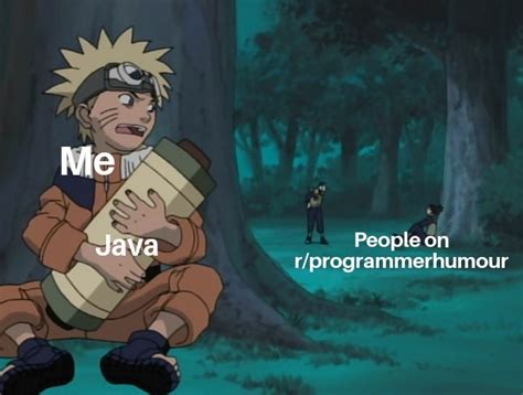 java r programmerhumor